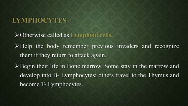 B- LYMPHOCYTES (TYPES AND IT'S FUNCTIONS).pptx | Free Download