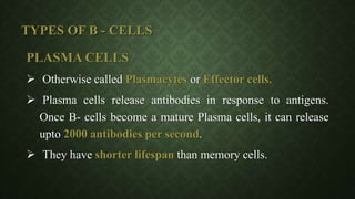 B- LYMPHOCYTES (TYPES AND IT'S FUNCTIONS).pptx
