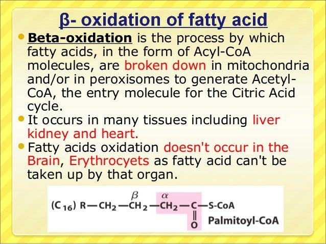 B oxidation[1]