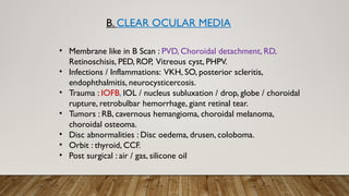 B-Scan procedure basics in ophthalmology.pptx