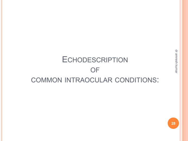 B-SCAN IN OPHTHALMOLOGY.pptx