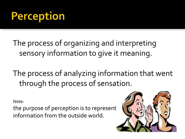 B. sensation and perception | PPT
