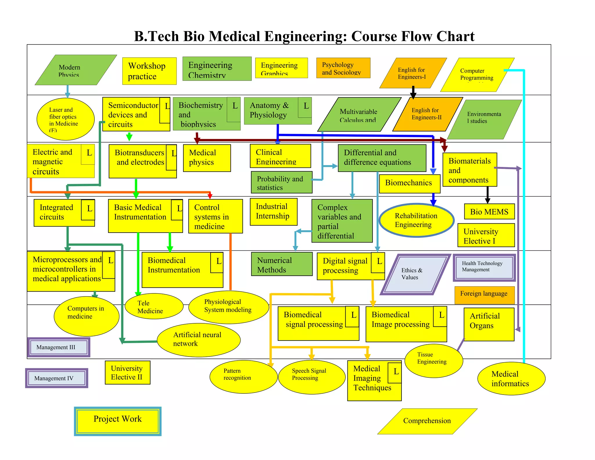 VIT B.Tech BioMed Flow Chart | PDF