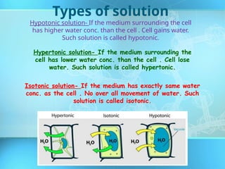 B-The Fundamental unit of life- 2025 (3).pptx