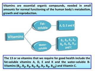 Survey of the B-Vitamins | PPTX