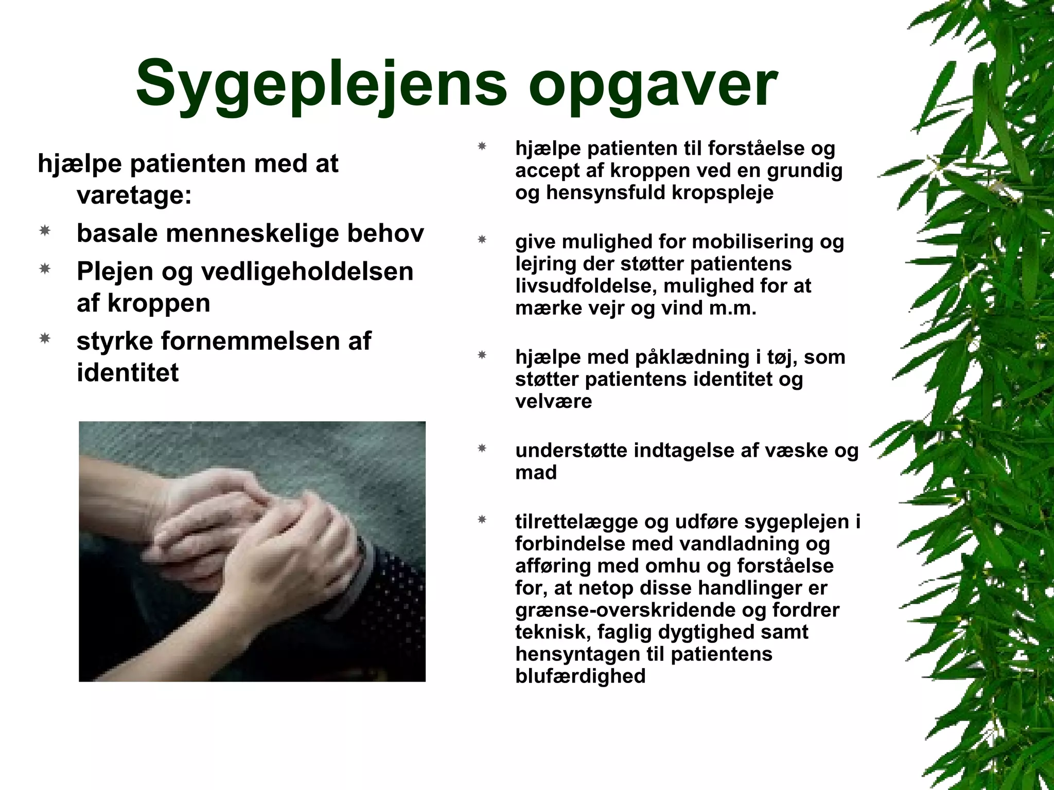 palliativ omsorg rev 2 | PPT