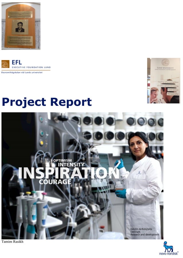 EFL and Novo Nordisk Project Report | PDF