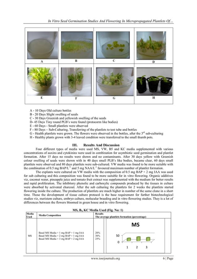 In Vitro Seed Germination Studies and Flowering in Micropropagated ...