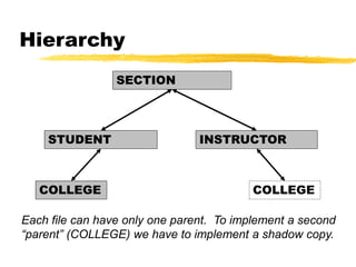 Introduction to Data Management Powerpoint | PPT
