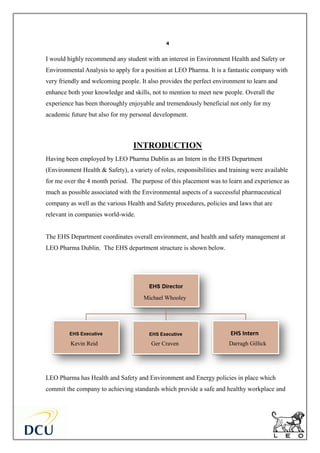 Intra Report Darragh Gillick | PDF