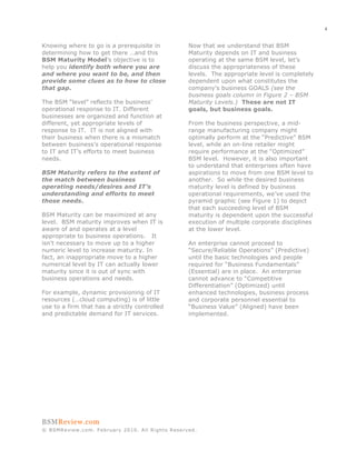 BSMMaturity v4.0 | PDF | Business | Business and Finance