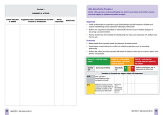 Baby_Charter_Audit-tool_13_web | PDF