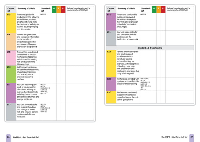 Baby_Charter_Audit-tool_13_web | PDF | Parenting Babies and Toddlers ...
