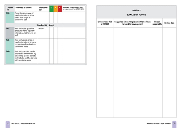 Baby_Charter_Audit-tool_13_web | PDF | Parenting Babies and Toddlers ...