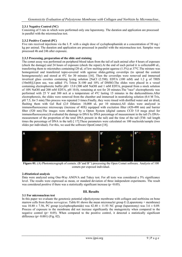 Genotoxicity Evaluation of Polystyrene Membrane with Collagen and ...