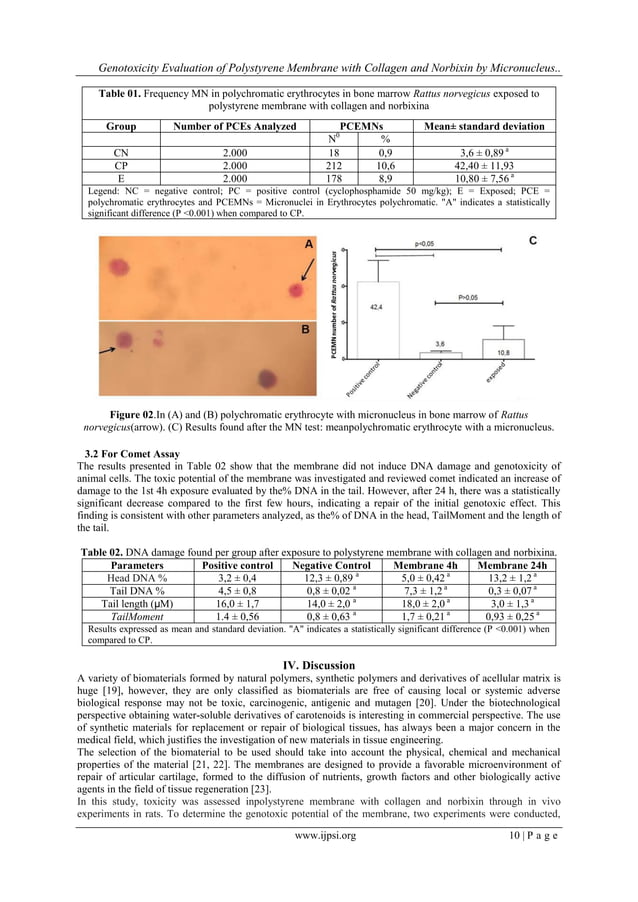 Genotoxicity Evaluation of Polystyrene Membrane with Collagen and ...