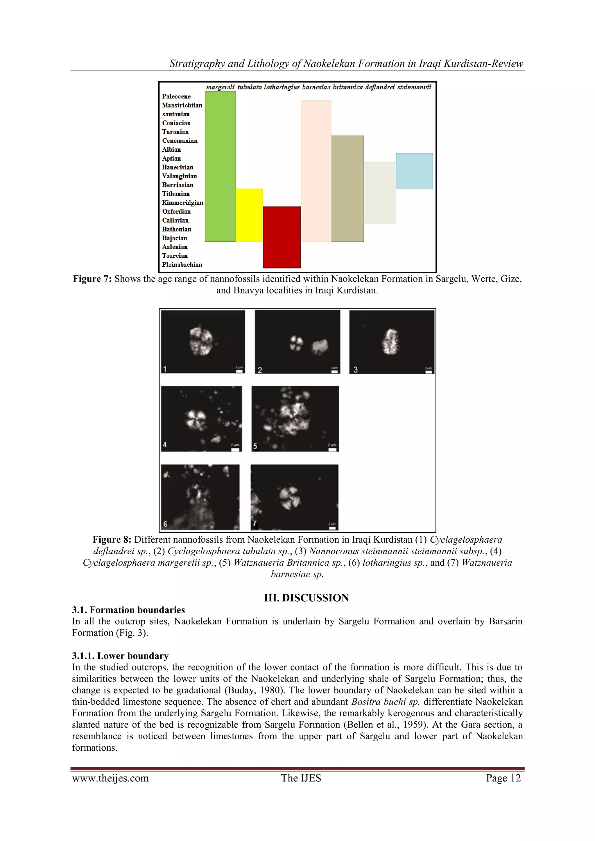 Stratigraphy and Lithology of Naokelekan Formation in Iraqi Kurdistan ...