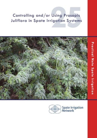 PN25_Prosopis_Juliflora_SF | PDF