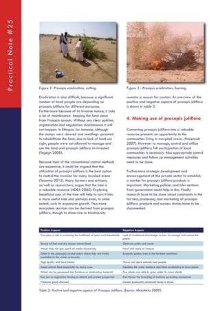 PN25_Prosopis_Juliflora_SF | PDF