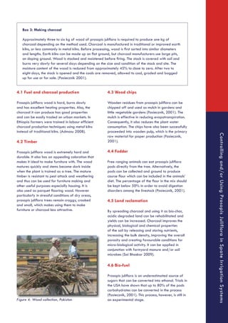 PN25_Prosopis_Juliflora_SF | PDF
