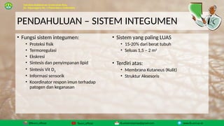 HISTOLOGI KULIT DAN INTEGUMEN Manusia normal | PPTX