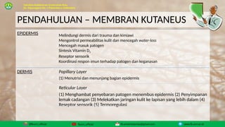 HISTOLOGI KULIT DAN INTEGUMEN Manusia normal | PPTX