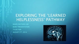 BURST Presentation (1) | PPT