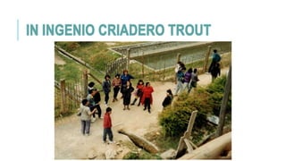 B06 basix six alp_huancayo | PPT