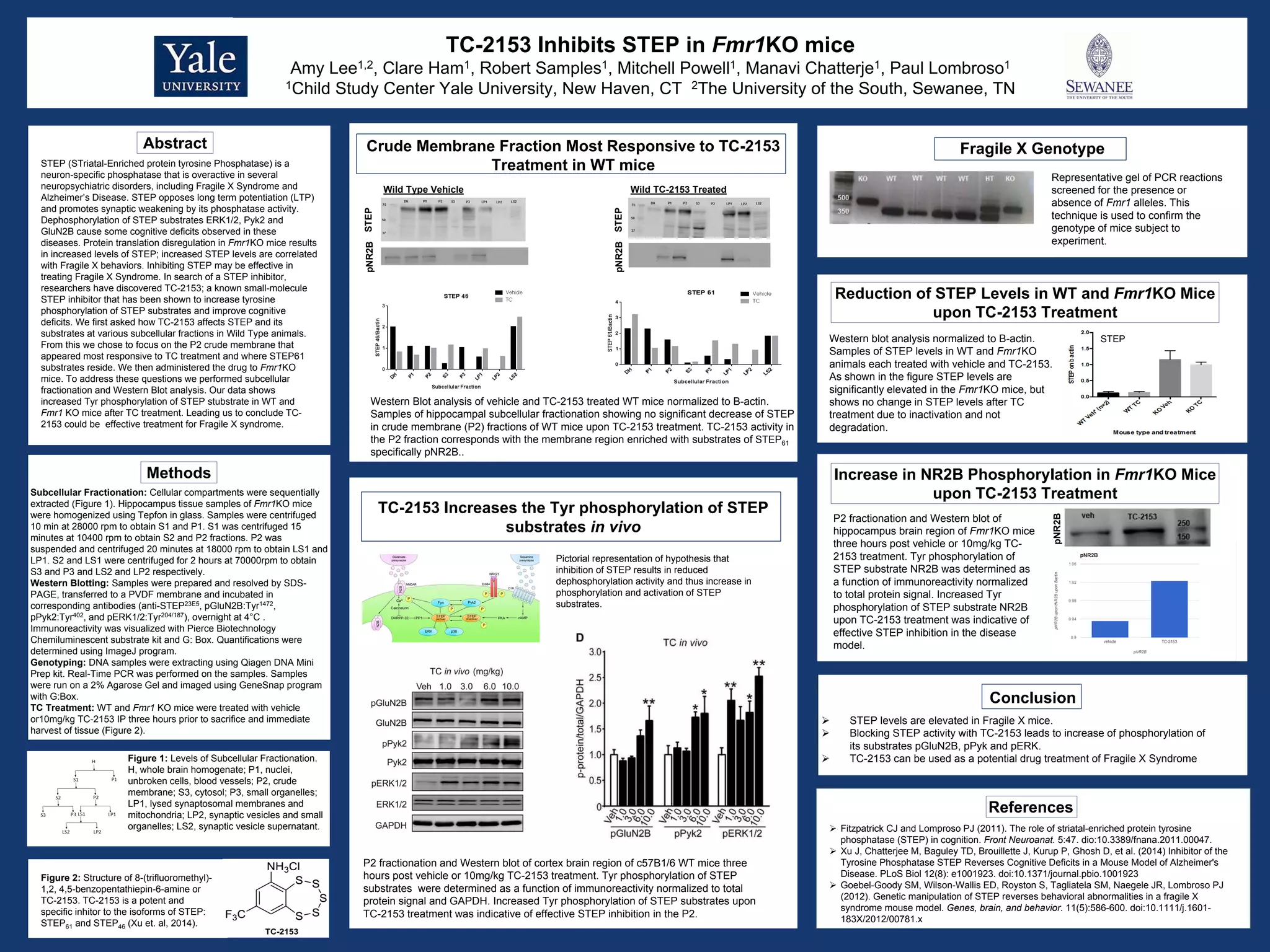 YALE POSTER presentation (3) | PPT