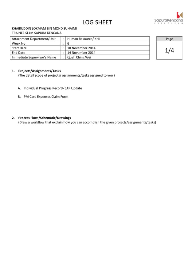 Log Sheet - PM care and SAP | DOC | Business | Business and Finance