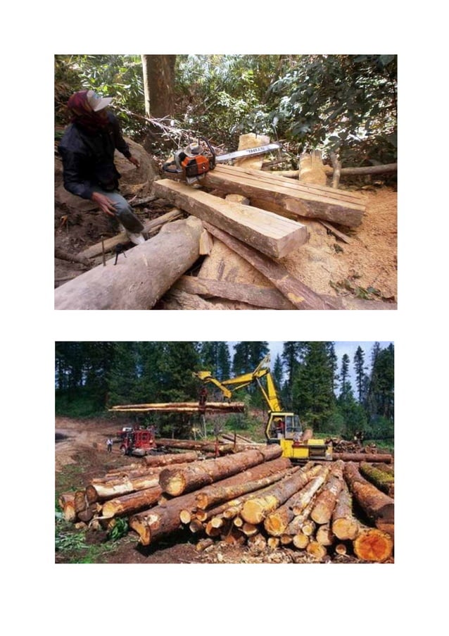 HPH MALINAU PICT | DOC
