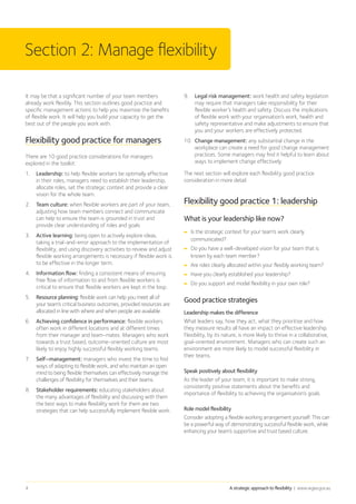 manager_flexibility_toolkit | PDF