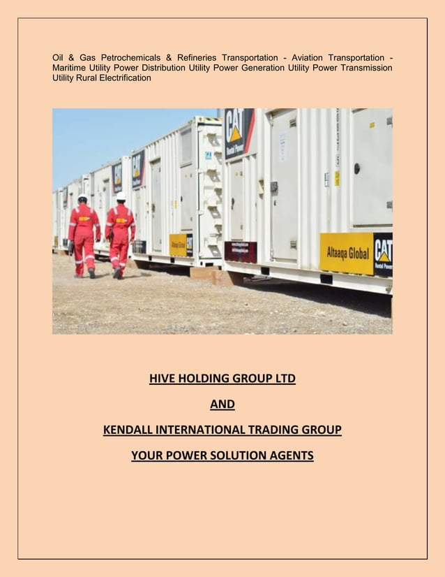 Hive Holding Group Presentation | PDF