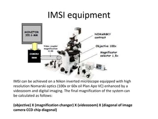 IMSI | PPT