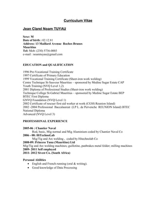 Curriculum Vitae noam - eng | DOC
