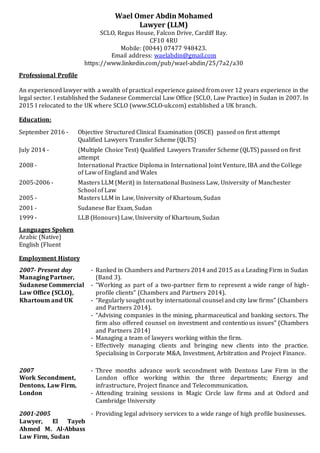 wael abdin cv | DOCX