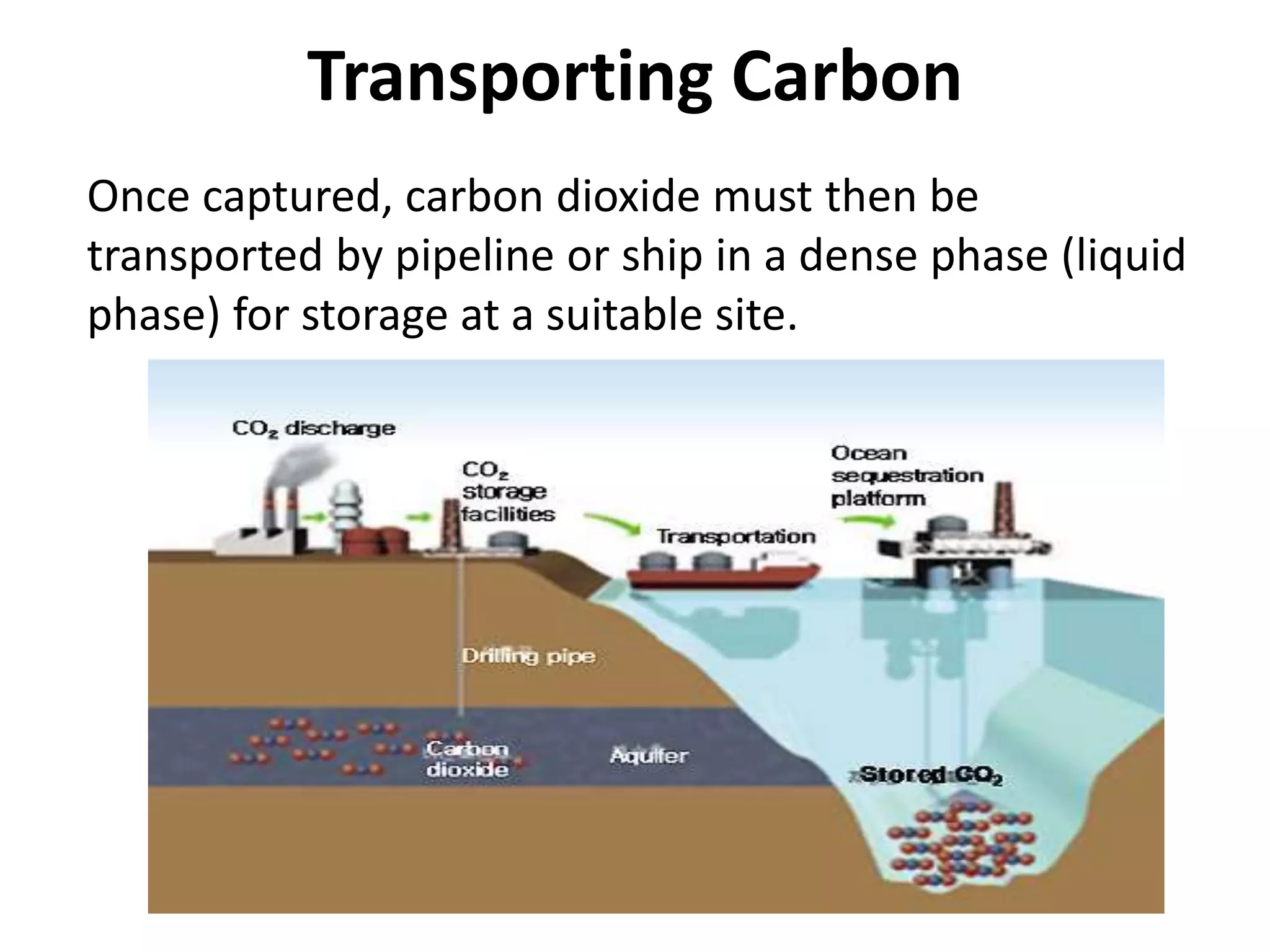 CARBON CAPTURE AND STORAGE | PPTX