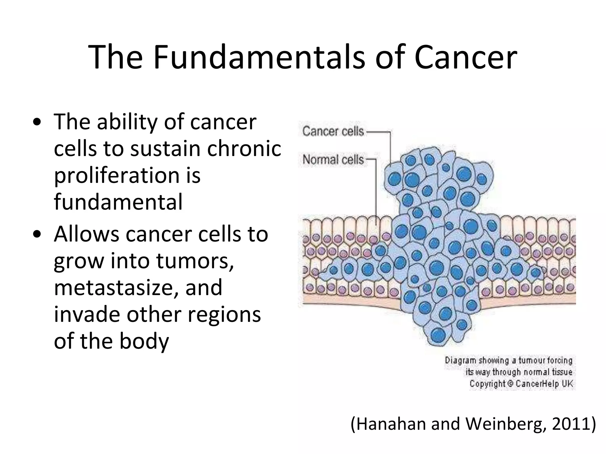 Hallmarks of Cancer - Sustained Proliferative Signaling | PPTX