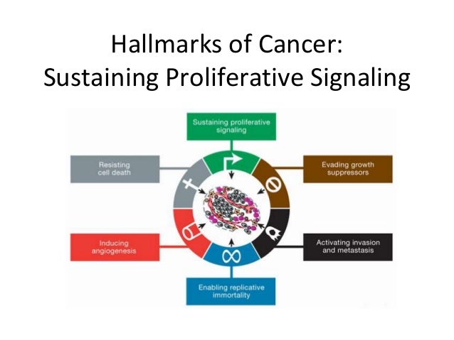 Hallmarks of Cancer - Sustained Proliferative Signaling