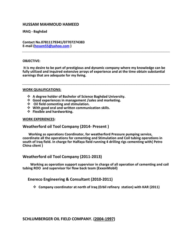 CV hosam update2015 | PDF