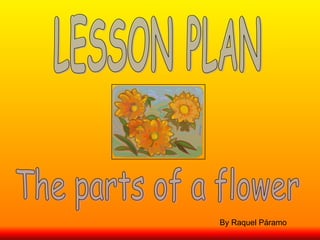 Lesson Plan project | PPT