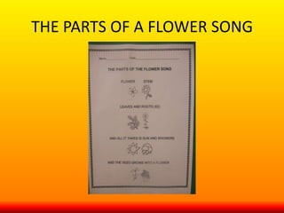 Lesson Plan project | PPT