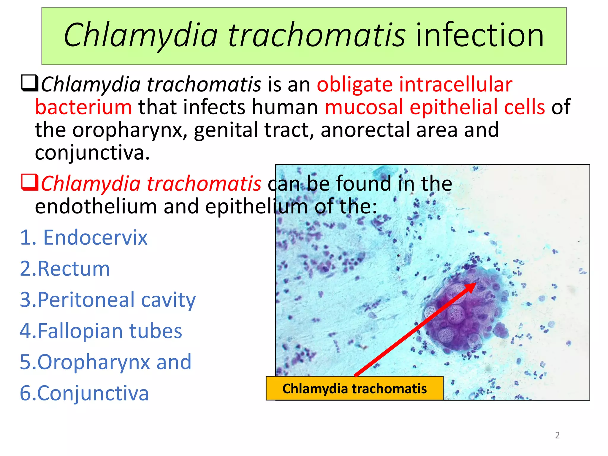 Clinical microbiology : Chlamydia trachomatis an overview of STD's | PDF