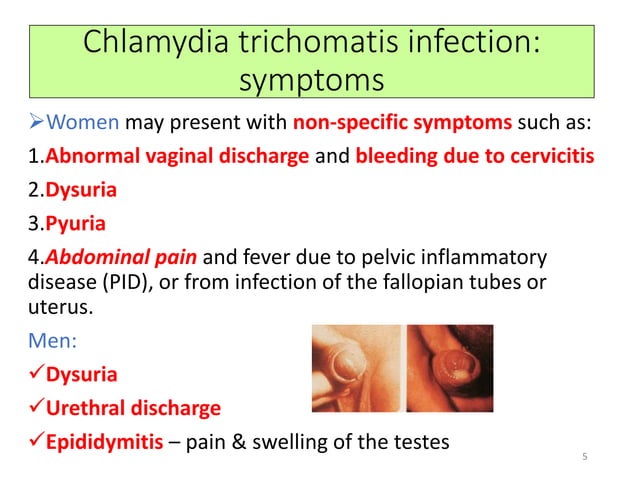 Clinical microbiology : Chlamydia trachomatis an overview of STD's | PDF | Reproductive Health ...