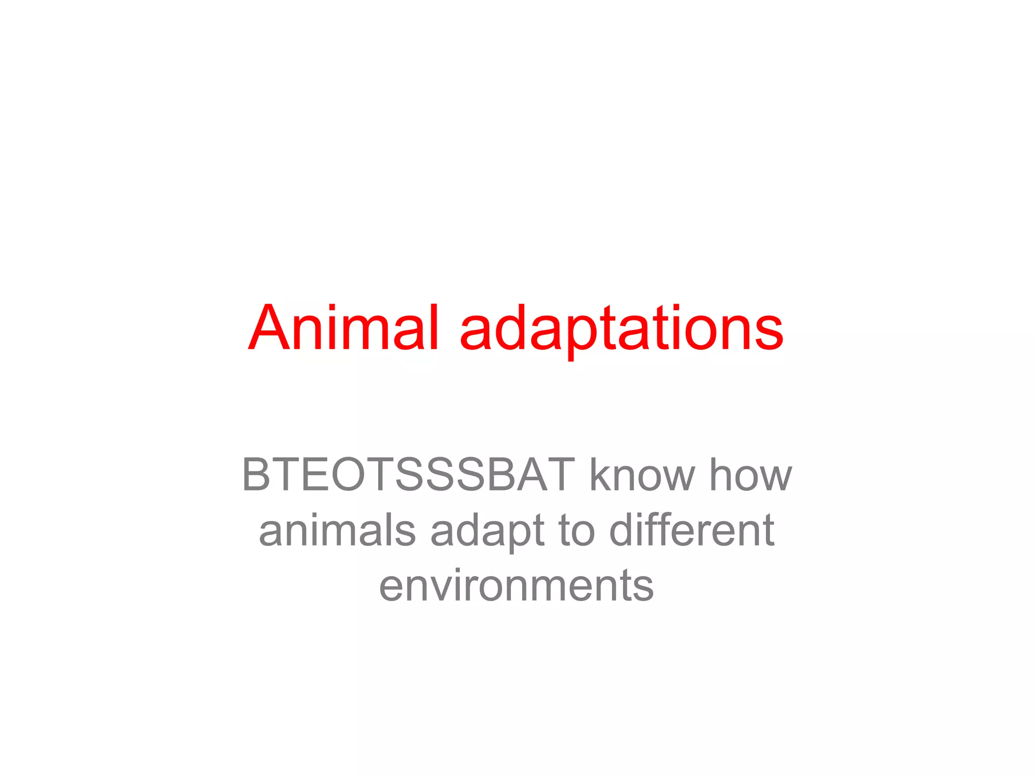 B1.4 animals adaptations | PPT