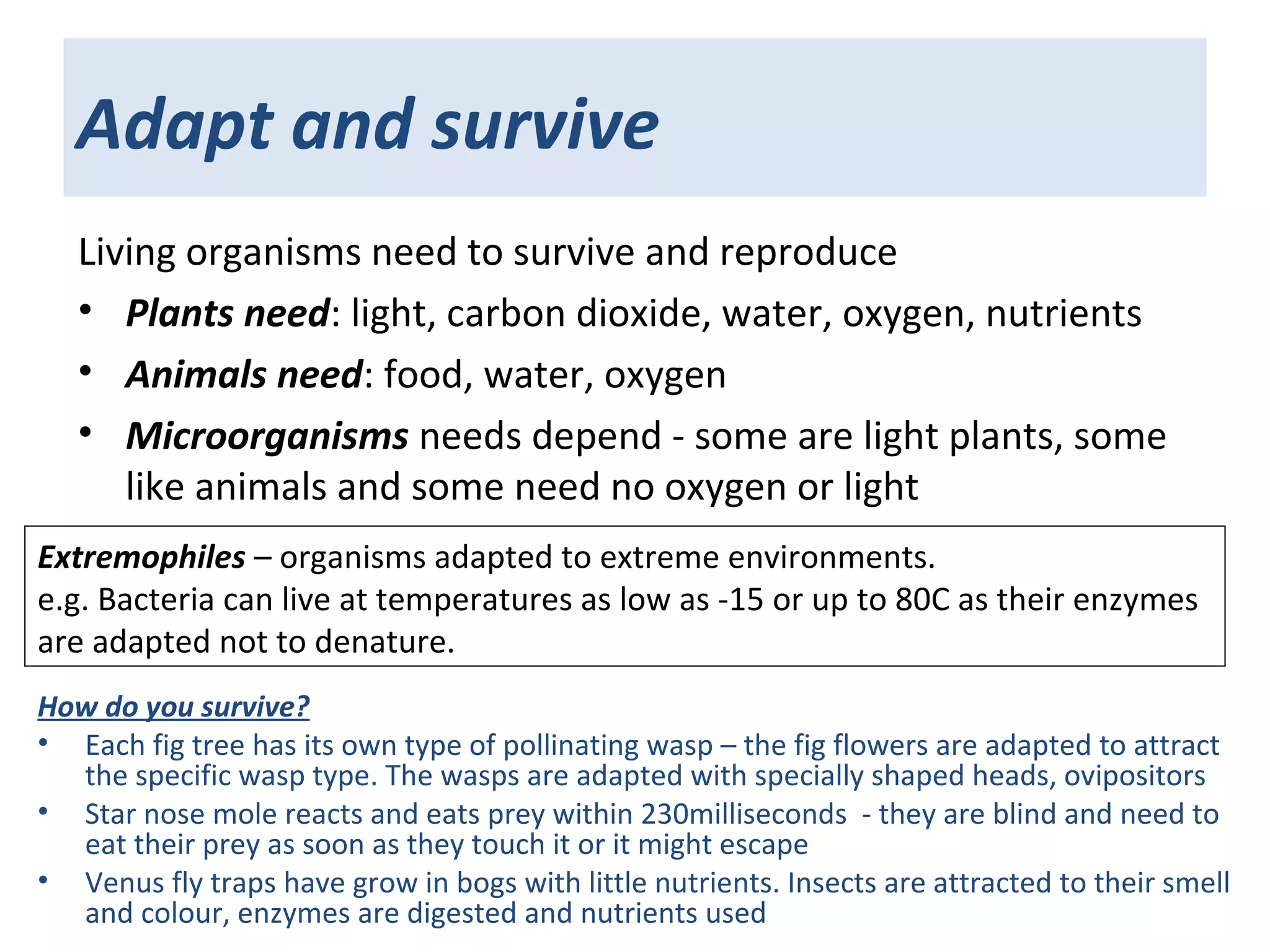 B1.4 -_adaptation_for_survival | PPT
