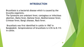 A PRESENTATION ON BRUCELLOSIS Of ANIMAL | PPTX