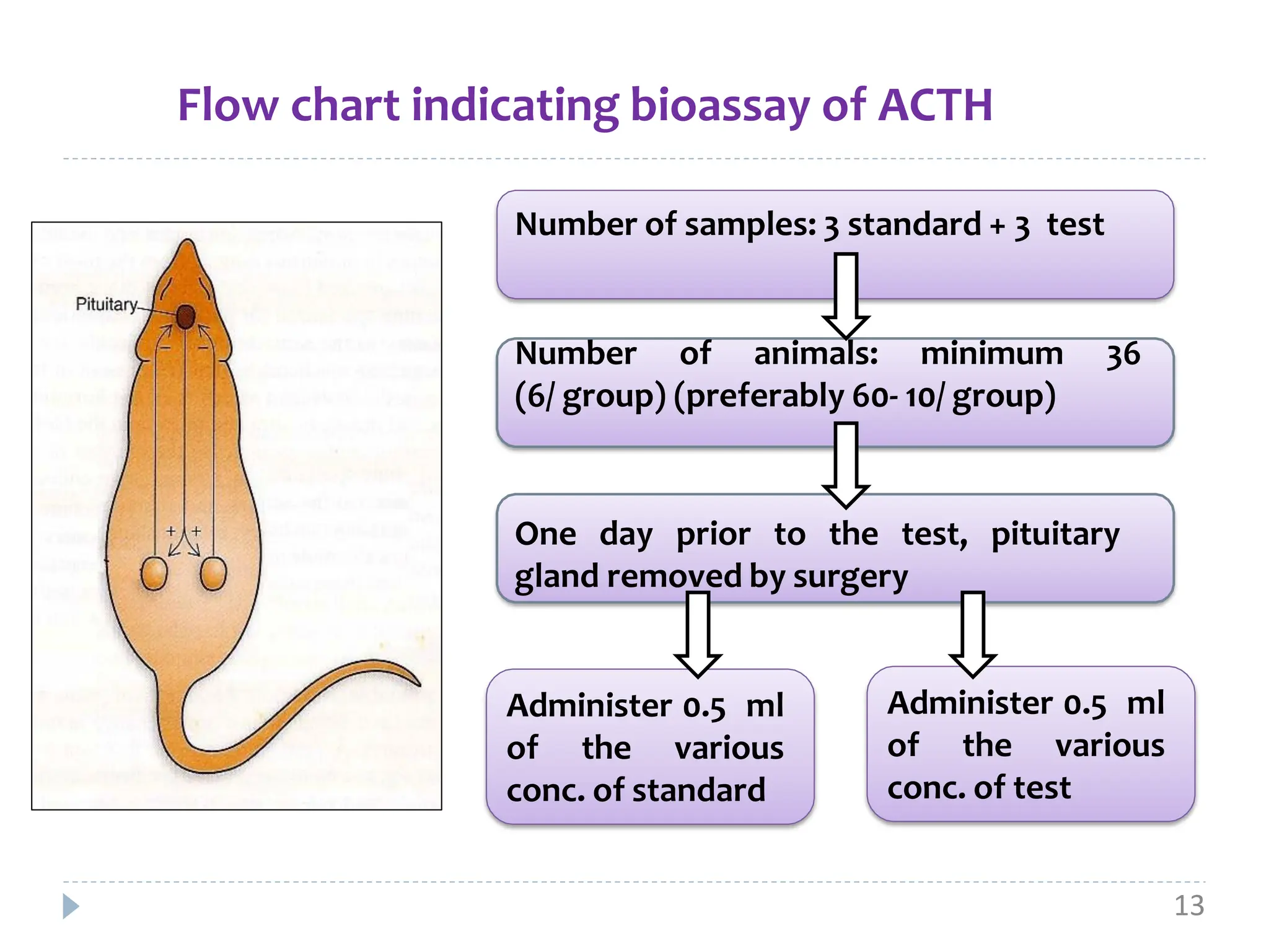 b1. Bioassay of ACTH.pdf