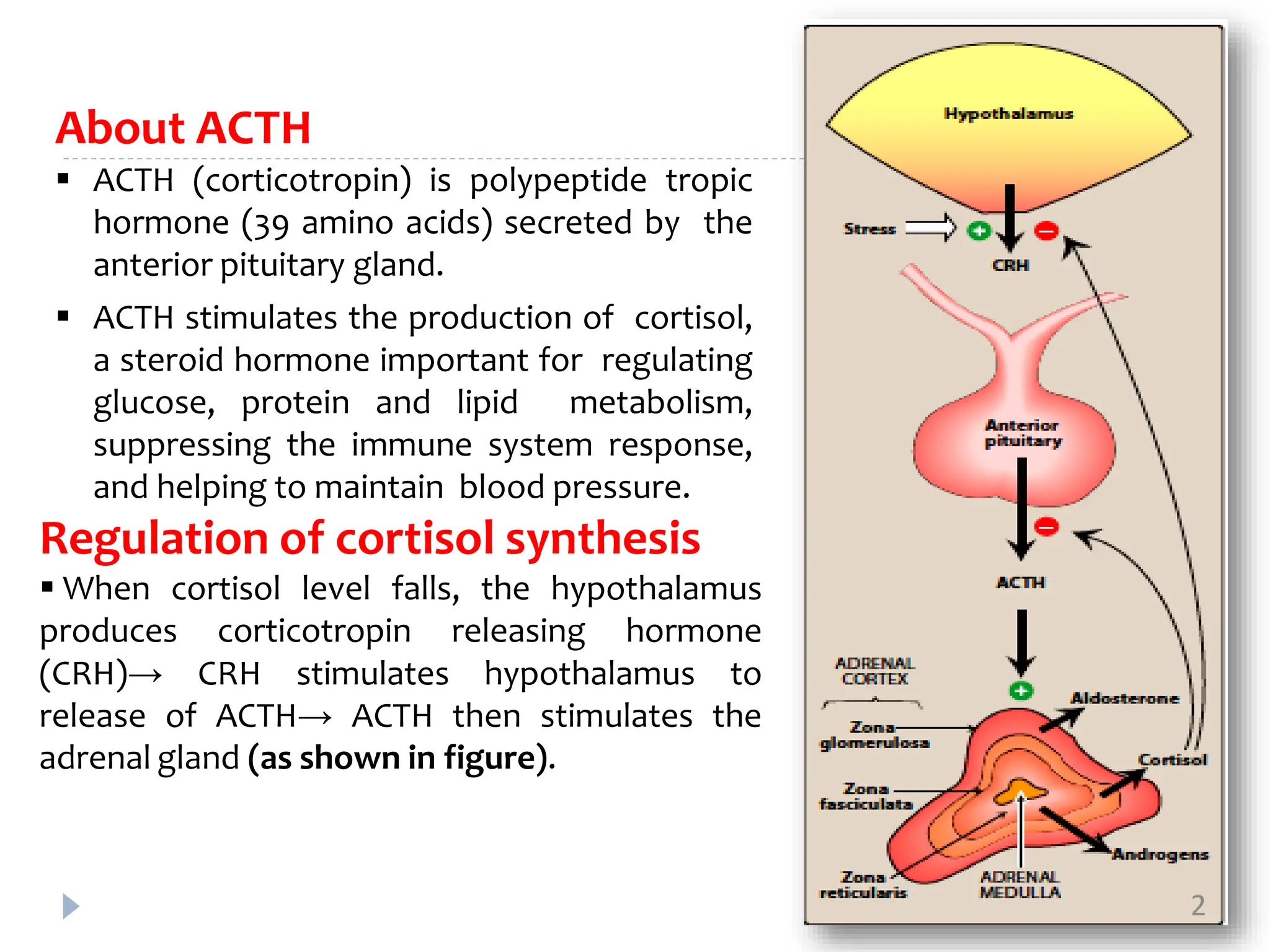 b1. Bioassay of ACTH.pdf