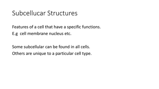 Cambridge IGCSE Biology Cells Structures & Functions.pptx | Biological Sciences | Science